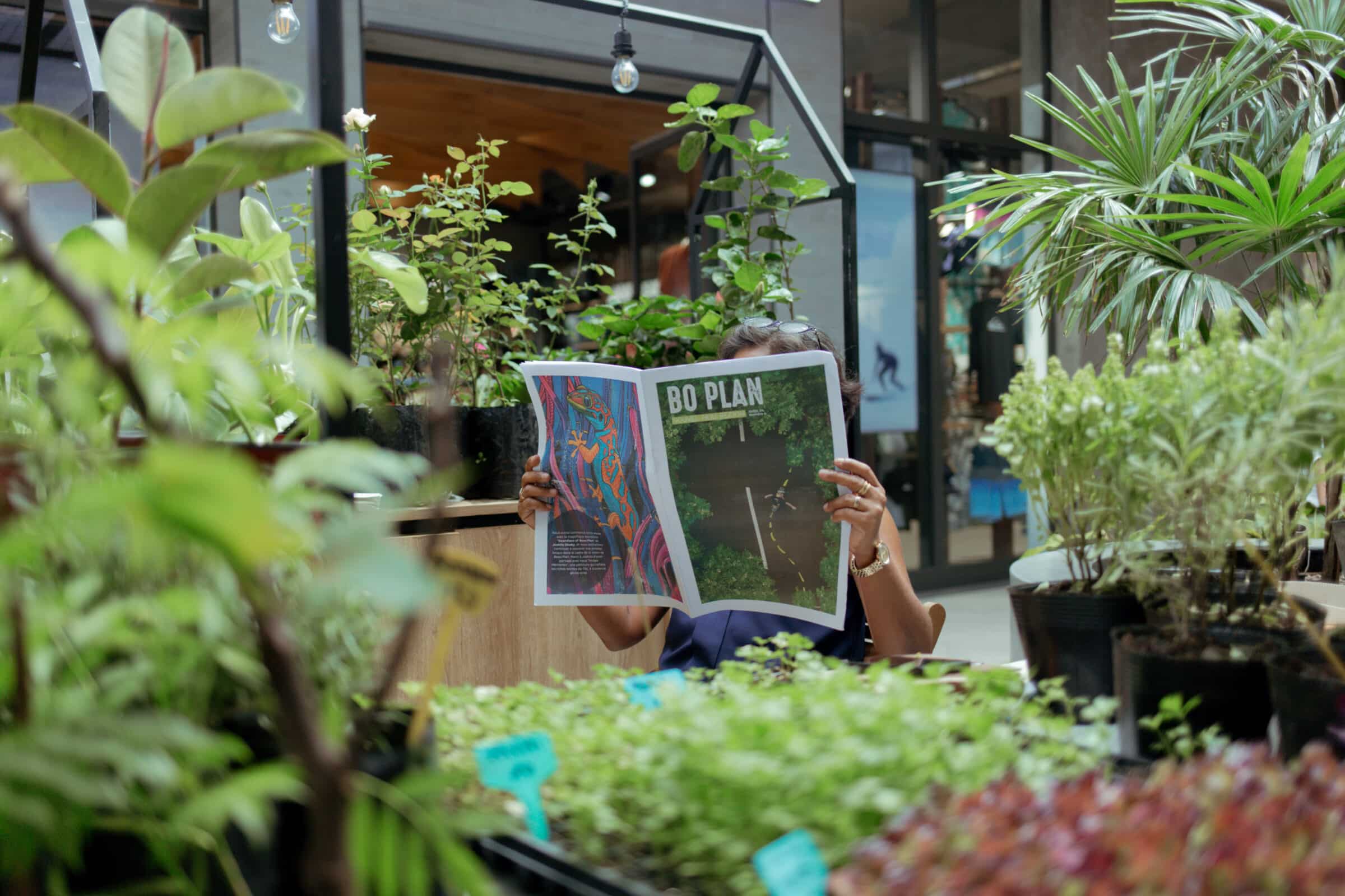 Beau Plan is full of innovations! - Novaterra